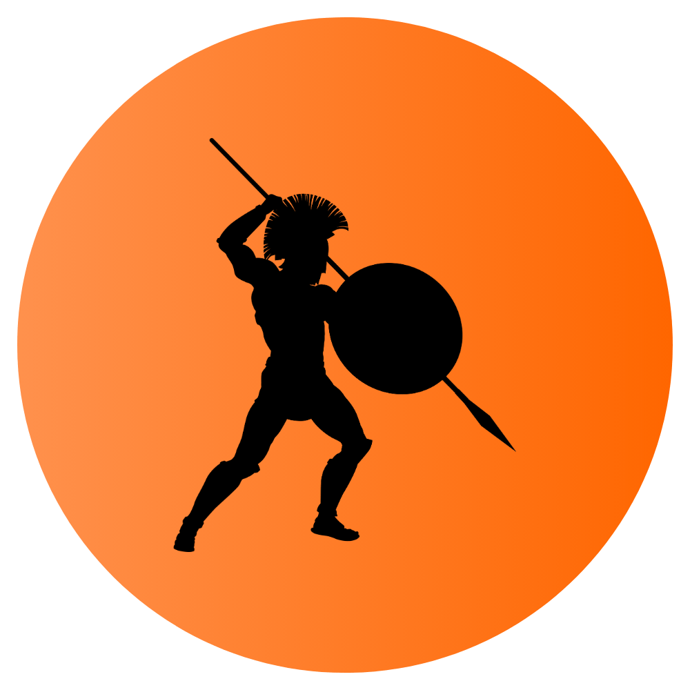 ProTubeVR | Melee Fight